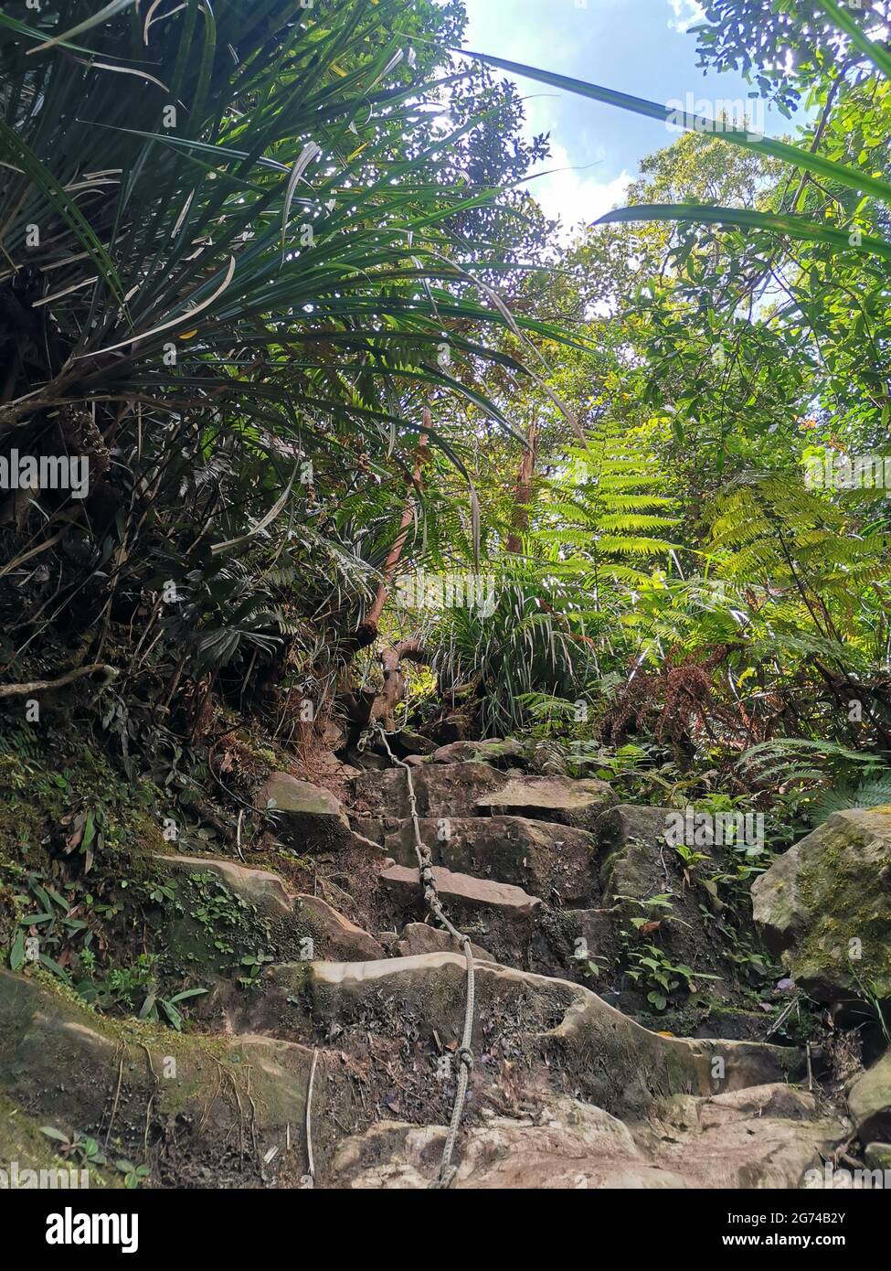 Rope tied to tree hi-res stock photography and images - Alamy