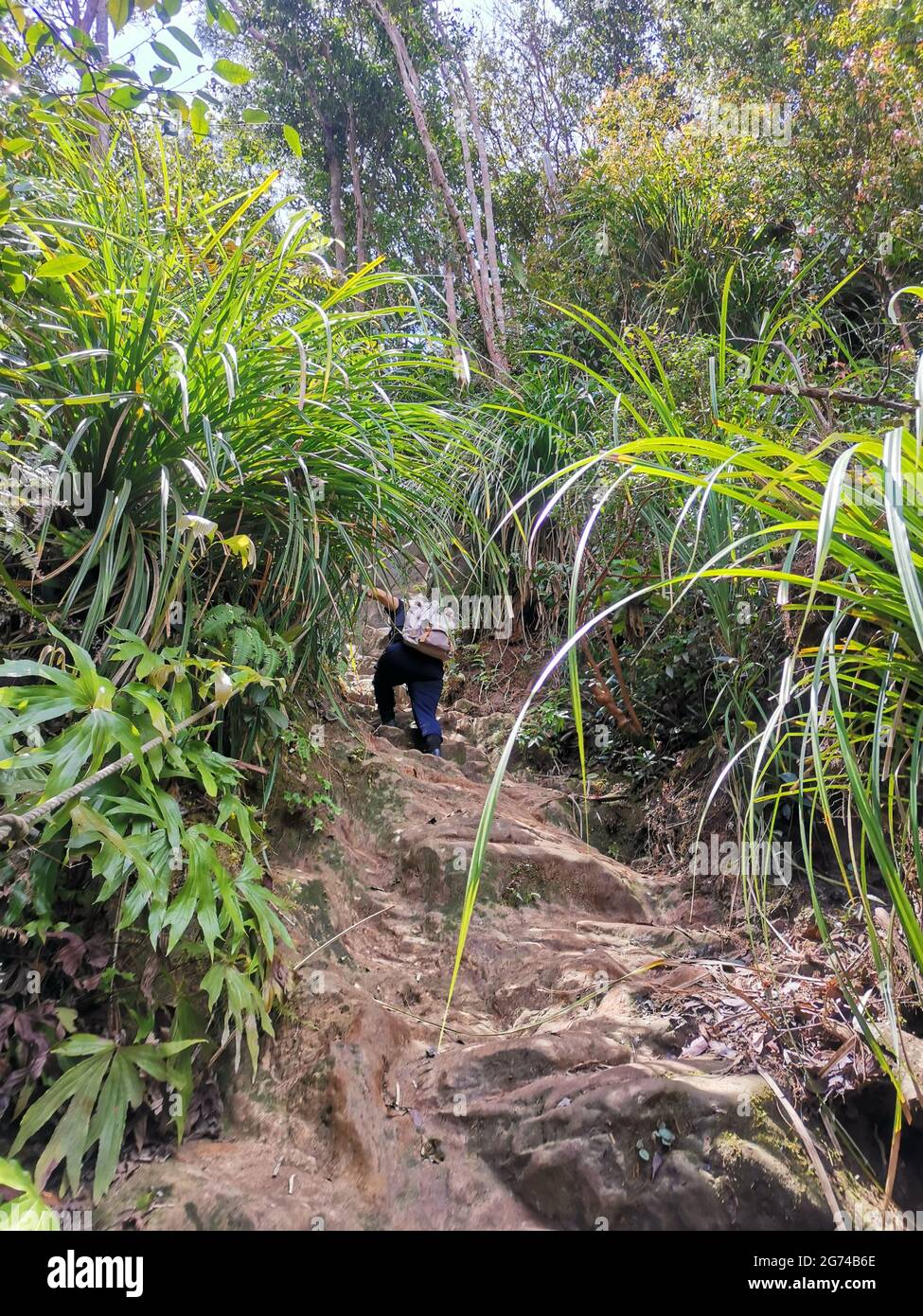 Trekking adventure nature hi-res stock photography and images - Alamy