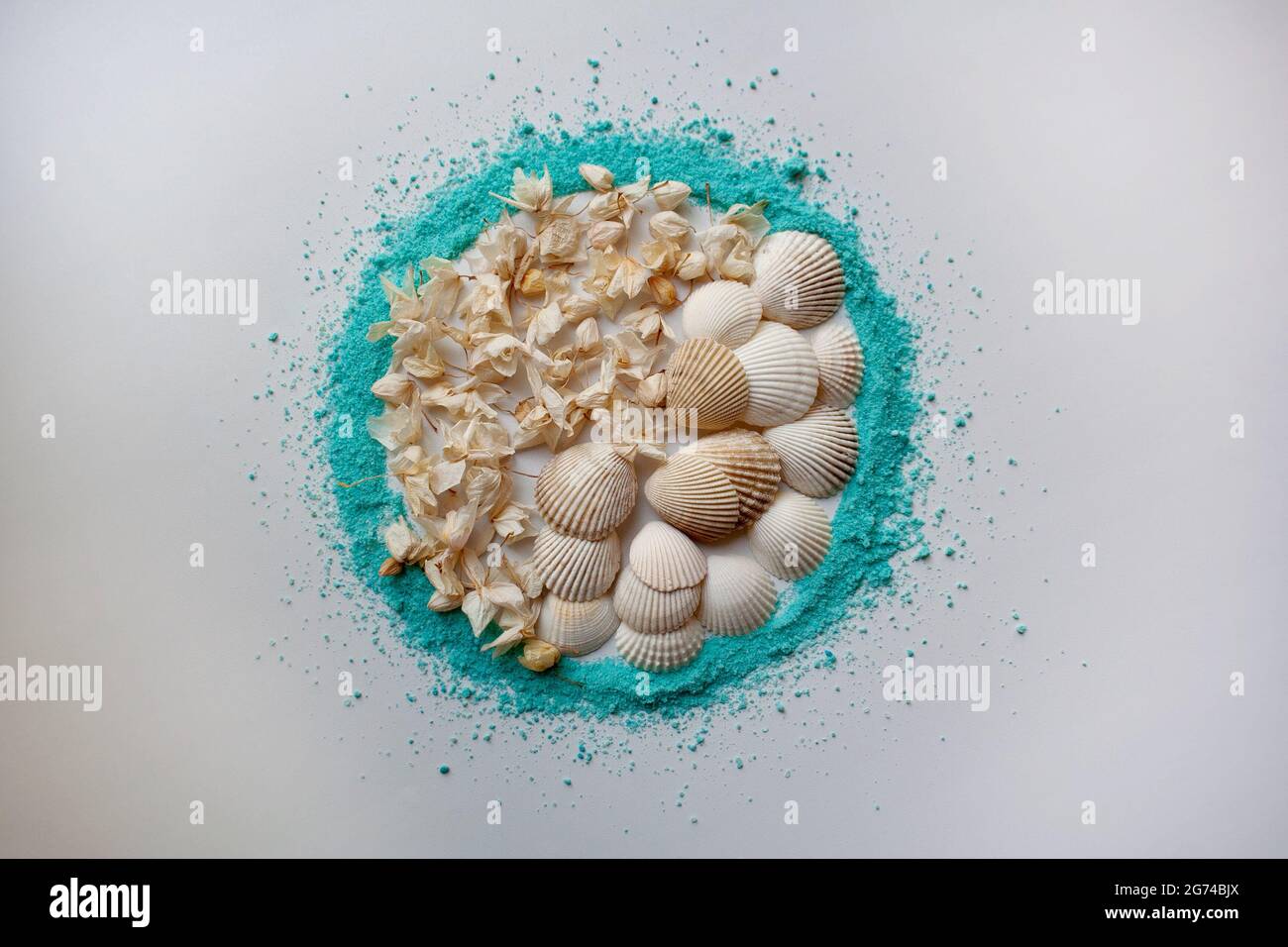 Shell inside structure hi-res stock photography and images - Alamy