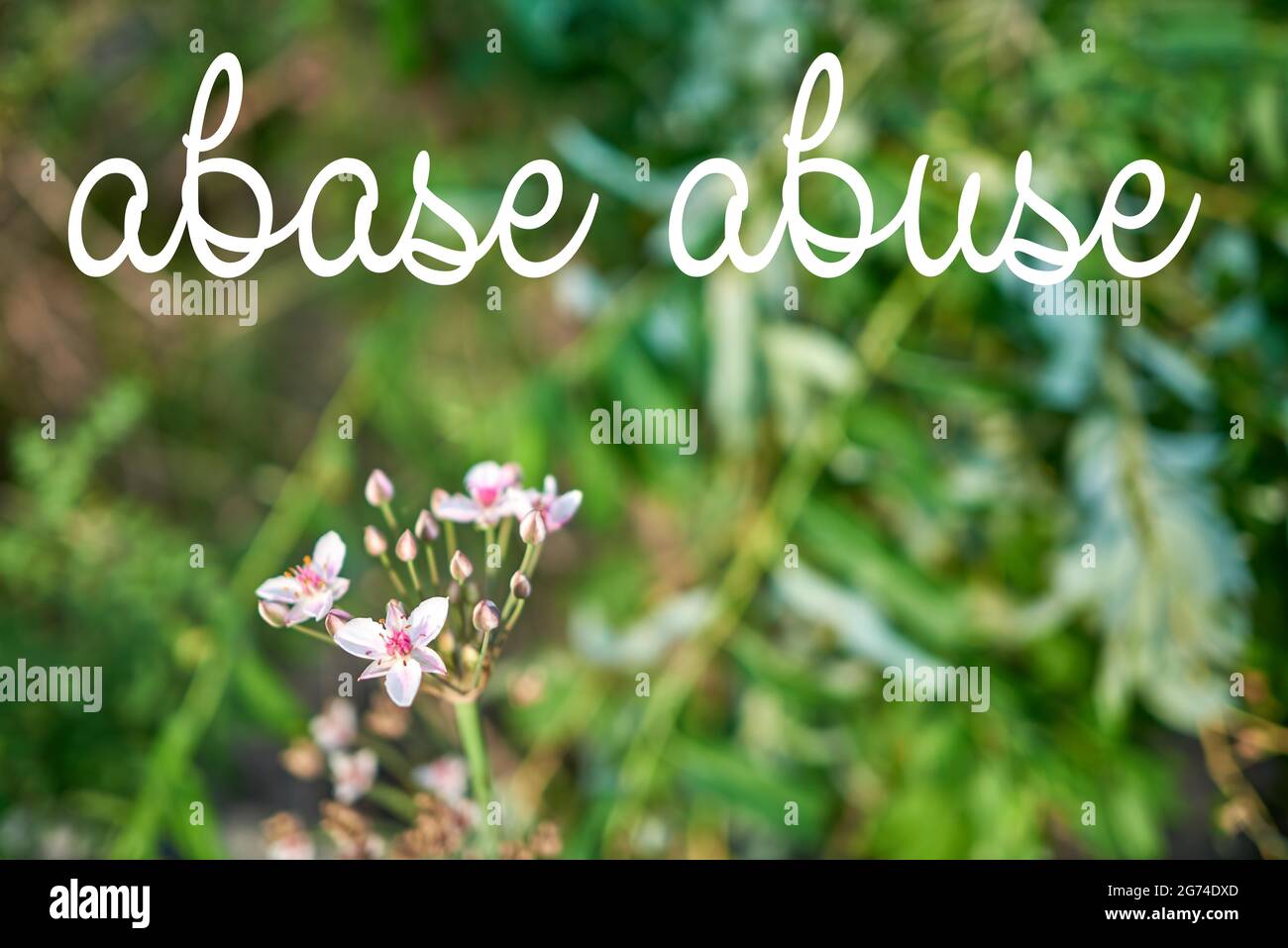The words differ by only one letter Stock Photo - Alamy