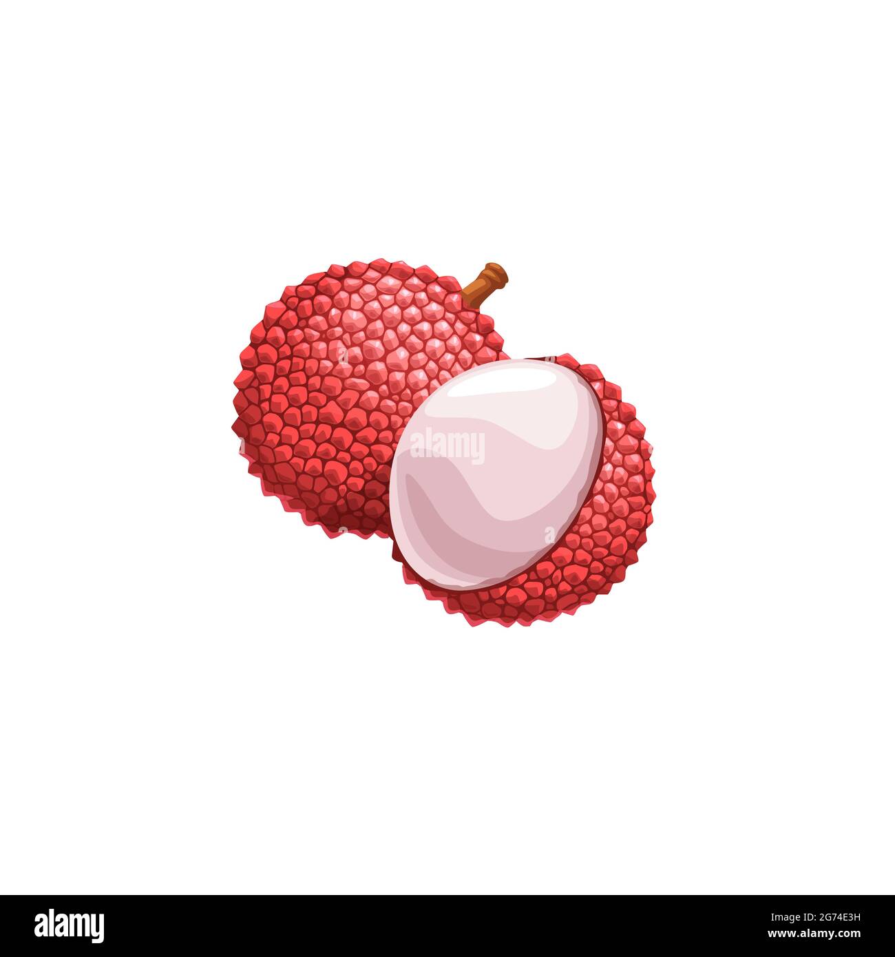 Lychee fruit, exotic litchi vector plant. Isolated peeled and unpeeled ...