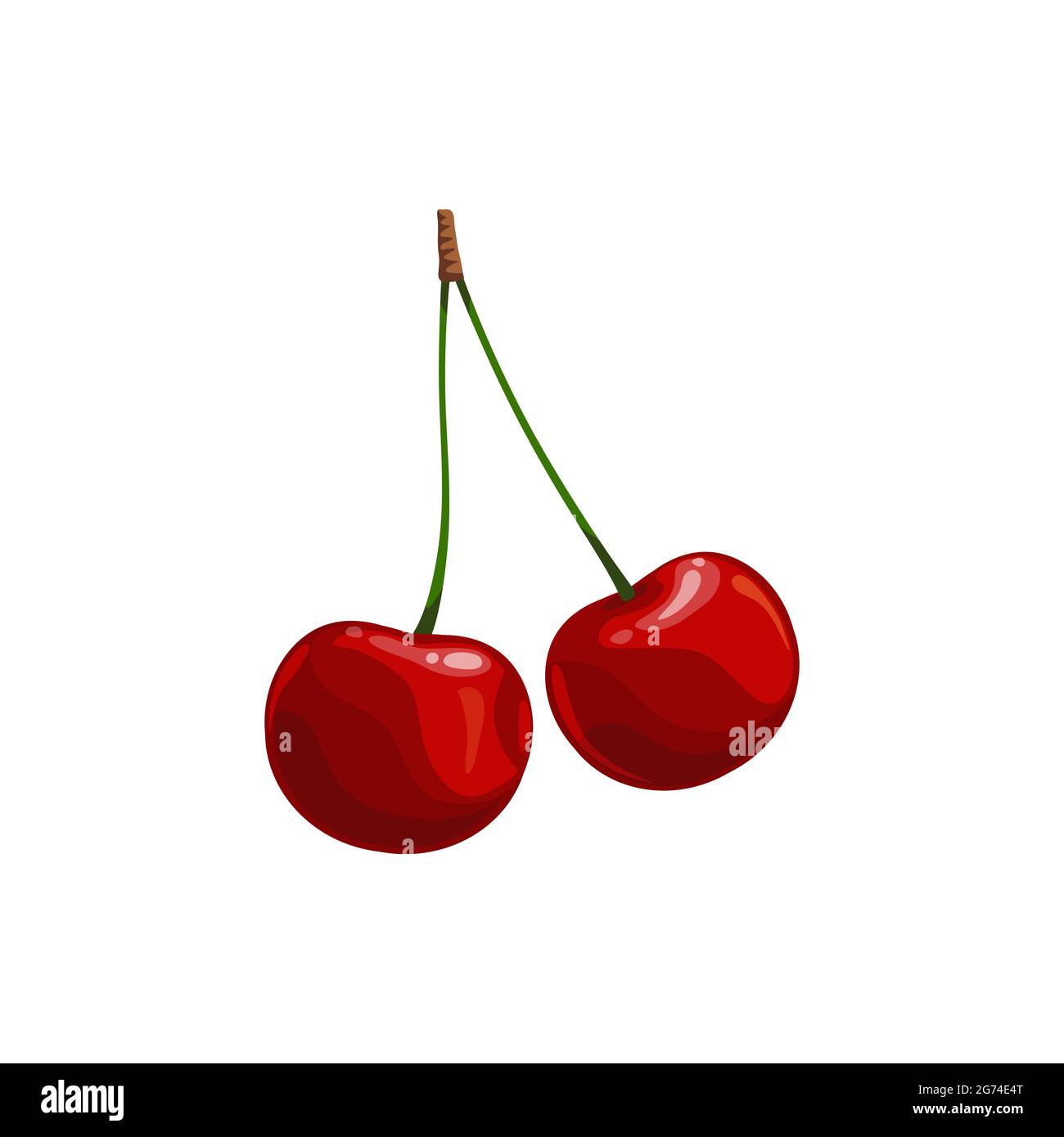 Sour cherry orchard Stock Vector Images - Alamy