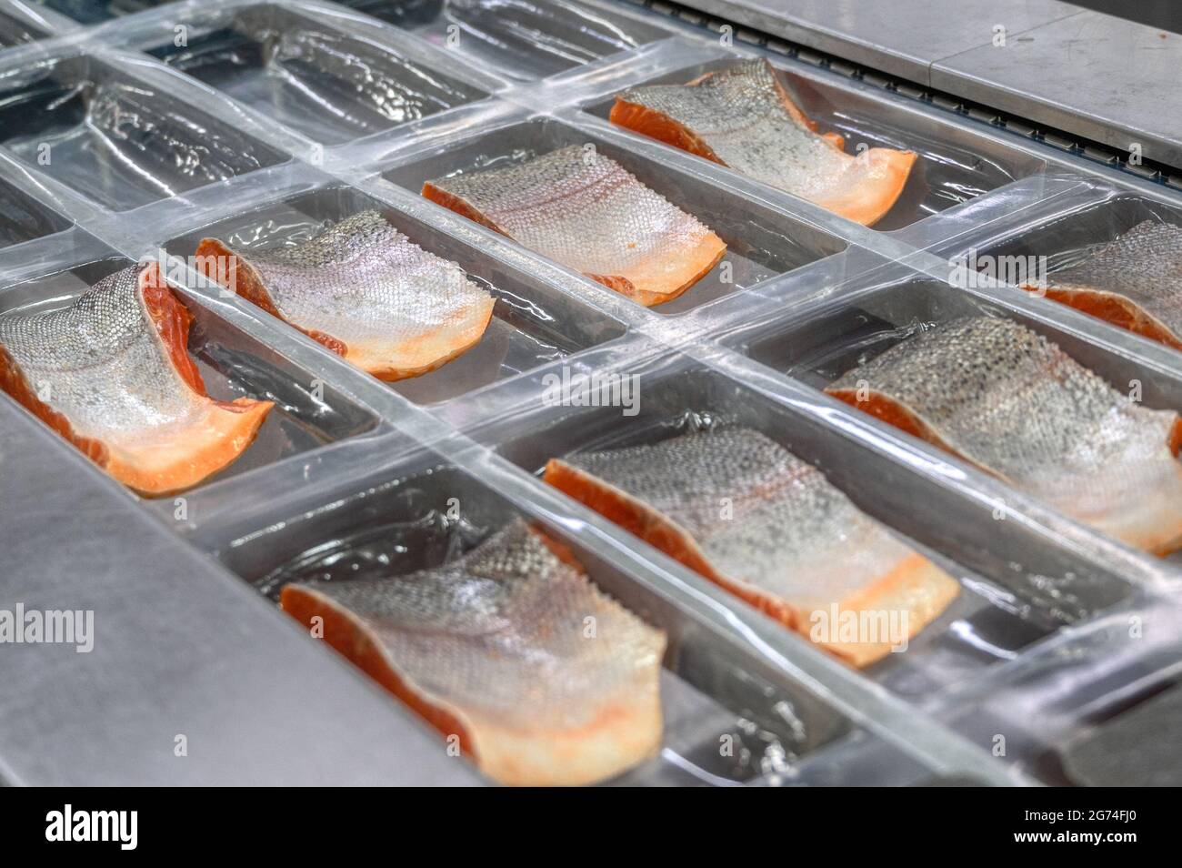 Fish packing plant hi-res stock photography and images - Alamy