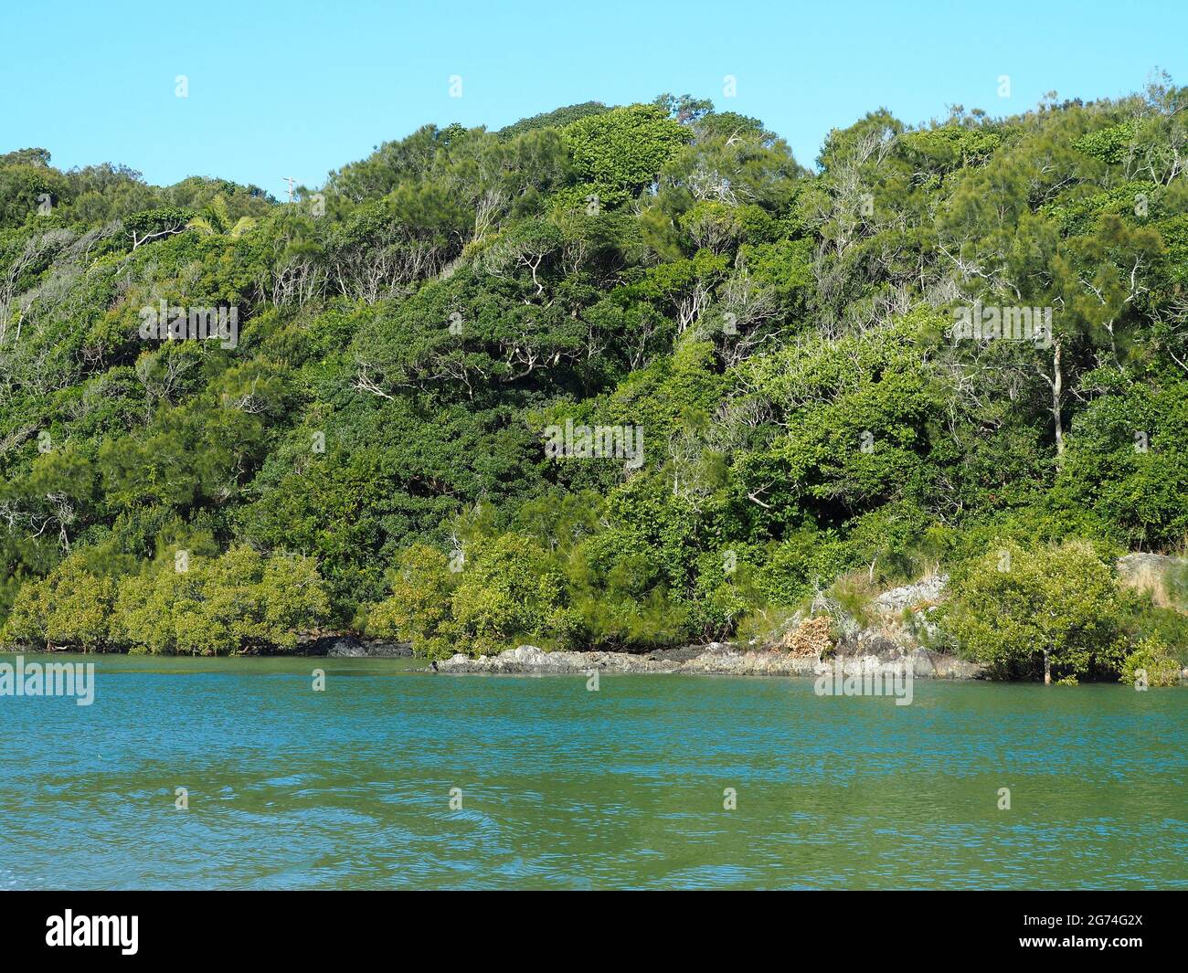 Beautiful Australian Bush setting, Boambee Creek estuary, river bank ...