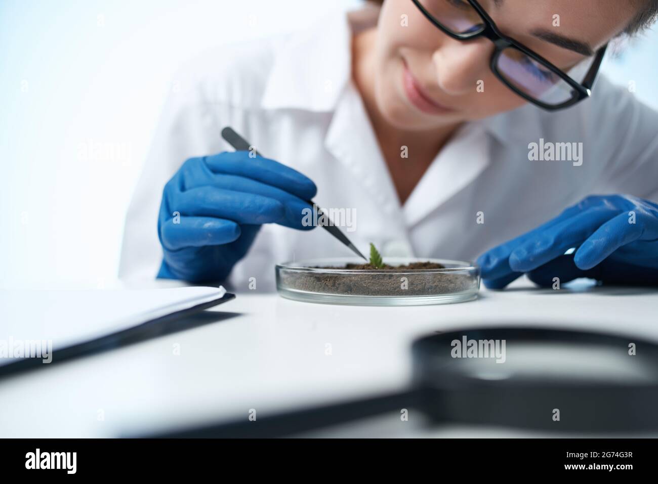 female laboratory assistant biologist soil research biotechnology Stock ...