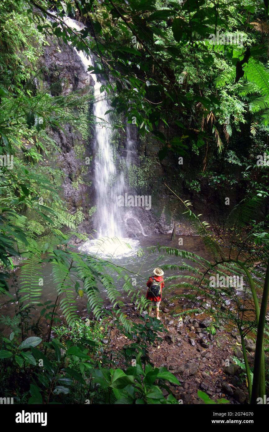 Hiker at Silver Falls on the Nandroya Falls Circuit, Palmerston Section ...