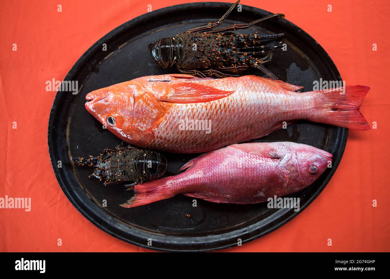 Pargo fish mexico hi-res stock photography and images - Alamy