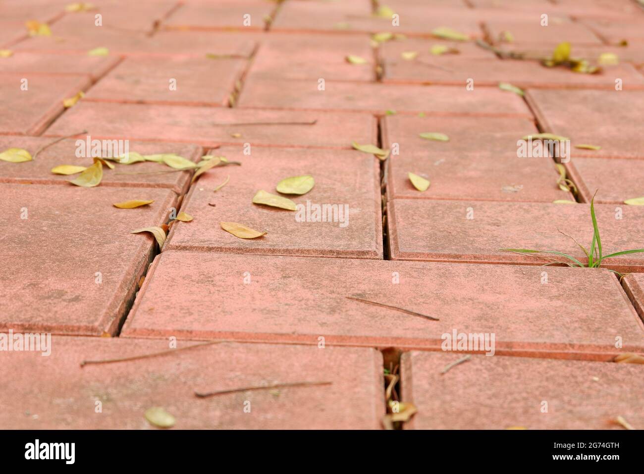A closeup of a red stone slab floor. Selected focus Stock Photo - Alamy