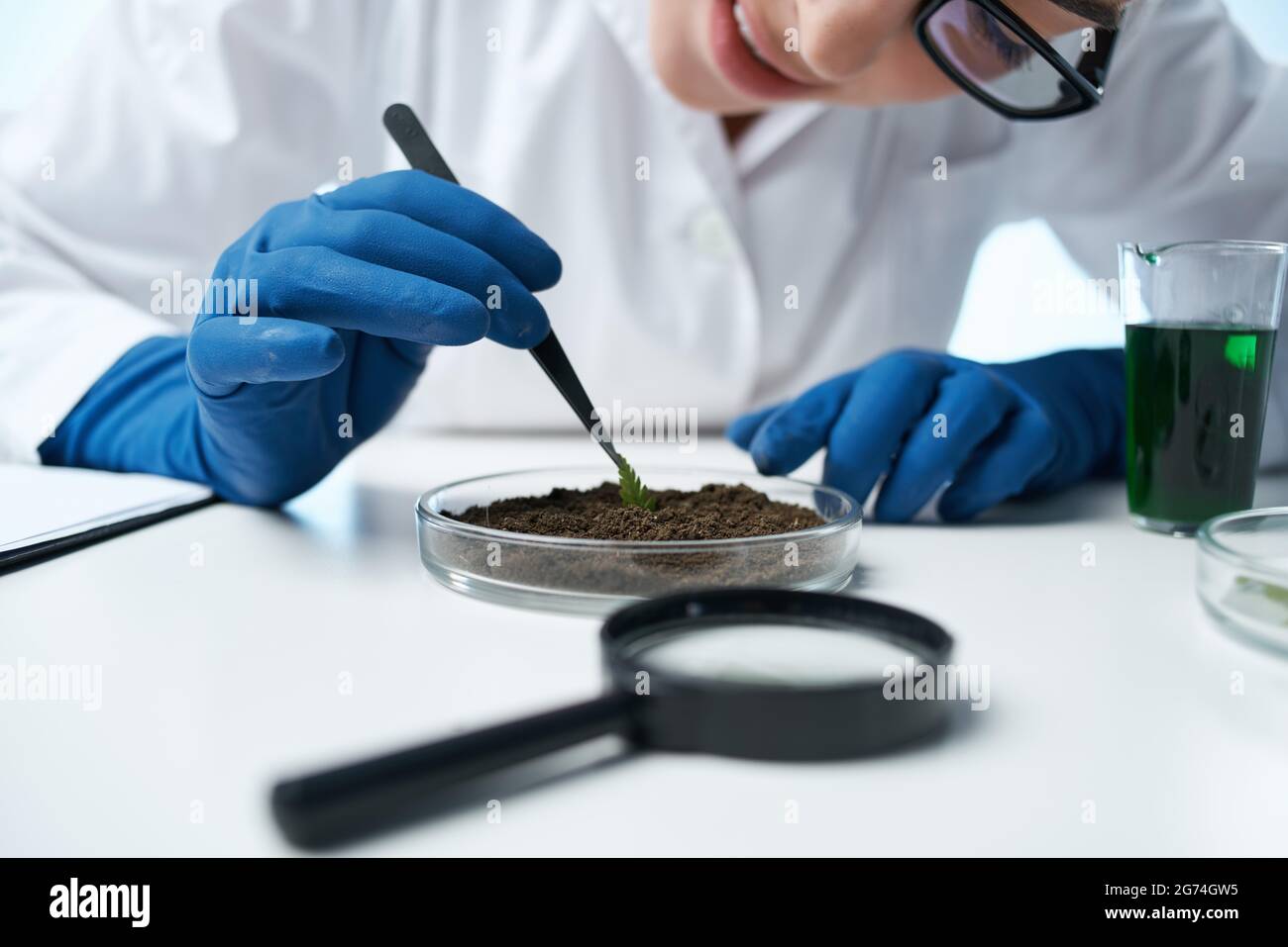 laboratory soil research plants biology science Stock Photo - Alamy