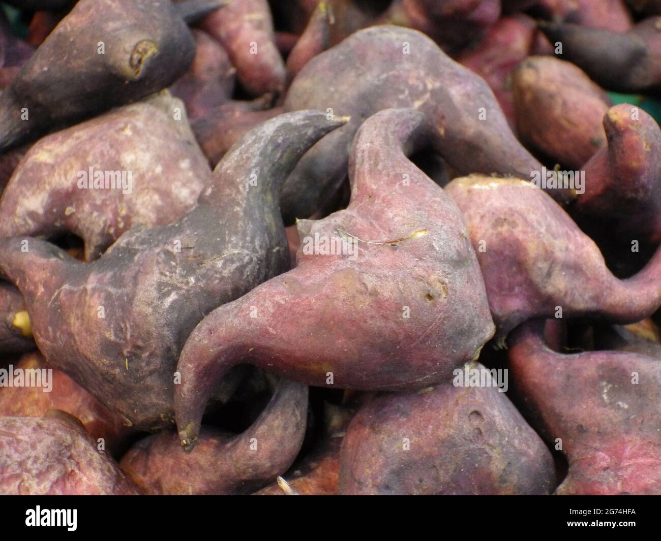Raw water chestnuts hi-res stock photography and images - Alamy