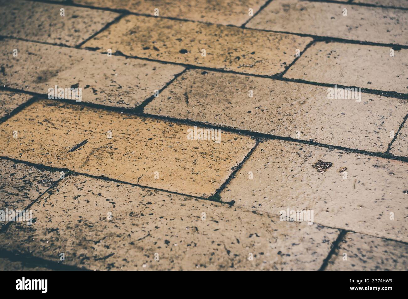 Wet paving slabs shine after rain, close up Stock Photo - Alamy