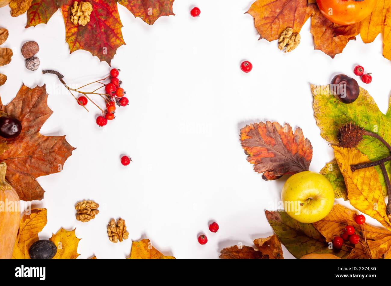 Autumn art composition - varied dried leaves, pumpkins, fruits, rowan ...
