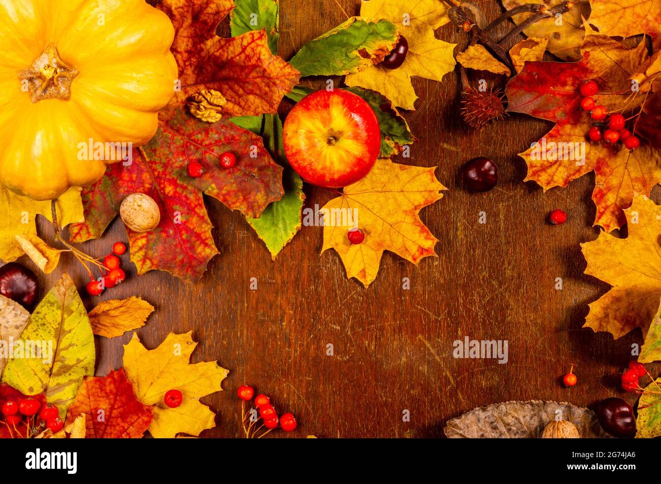 Autumn art composition - varied dried leaves, pumpkins, fruits, rowan ...
