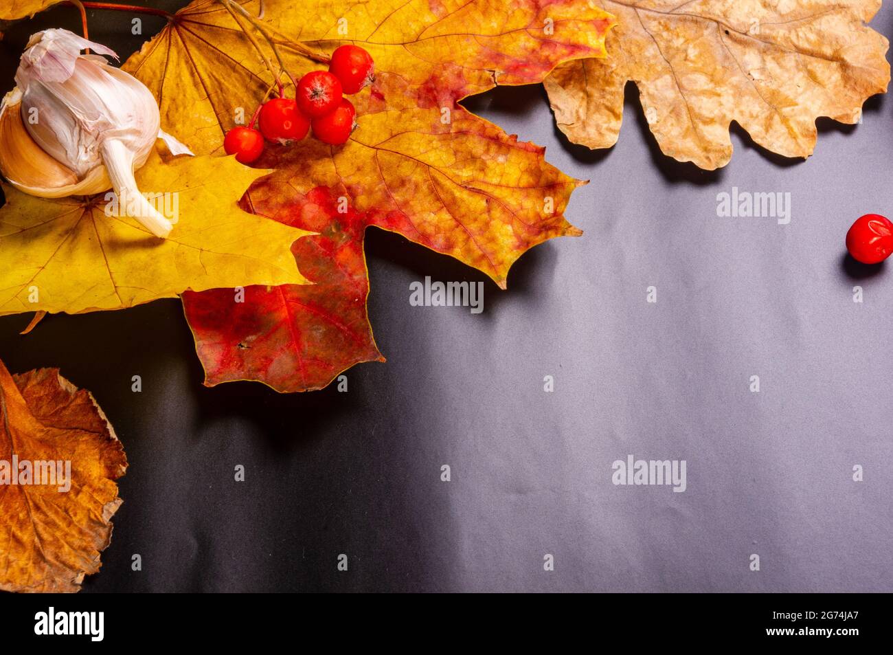 Autumn art composition - varied dried leaves, pumpkins, fruits, rowan ...