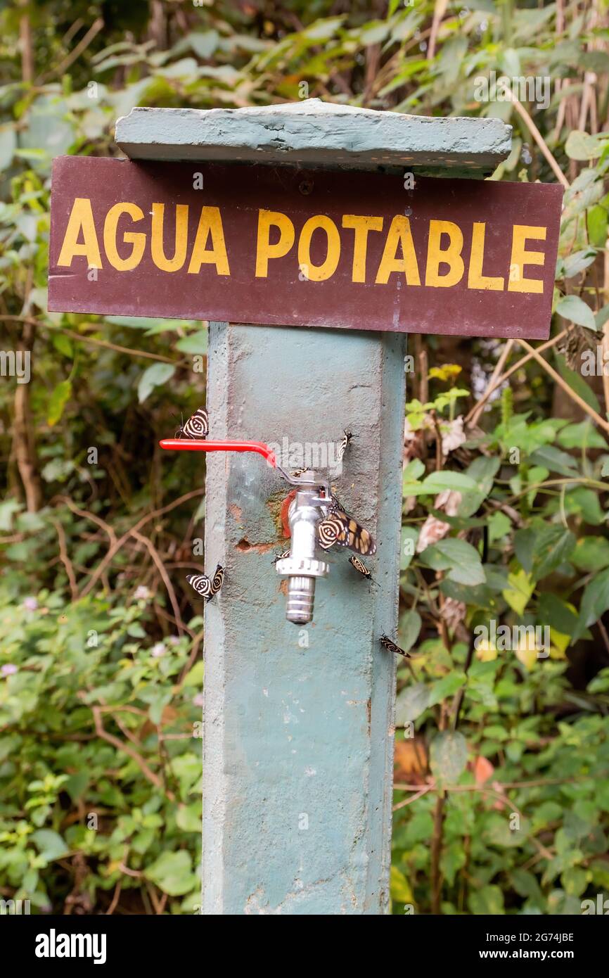 A shot of a portable water from tap Stock Photo - Alamy