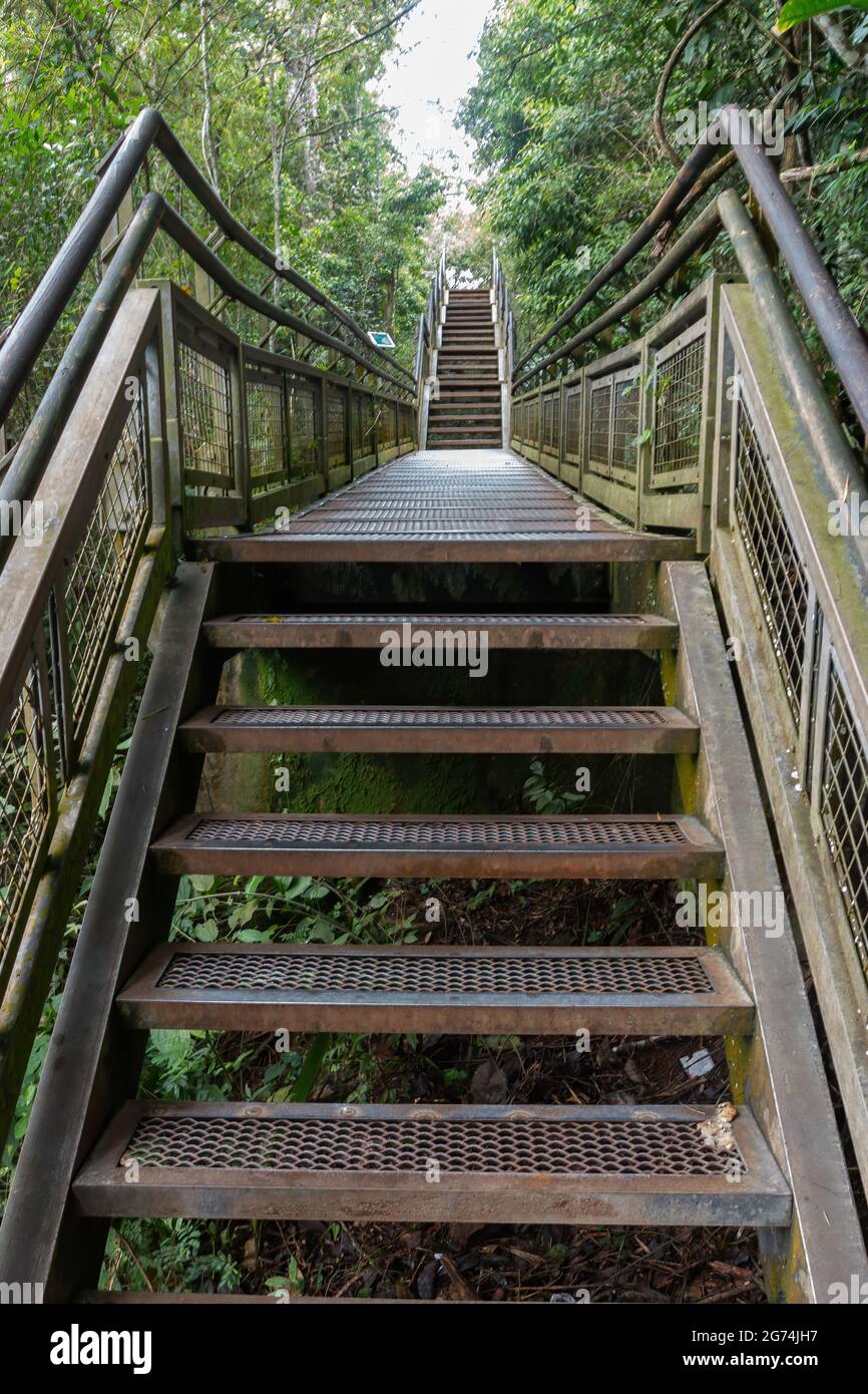 Steel in nature hi-res stock photography and images - Alamy
