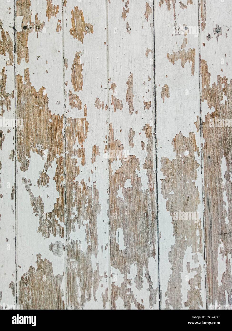 White rustic wood texture background. White wooden boards interior ...