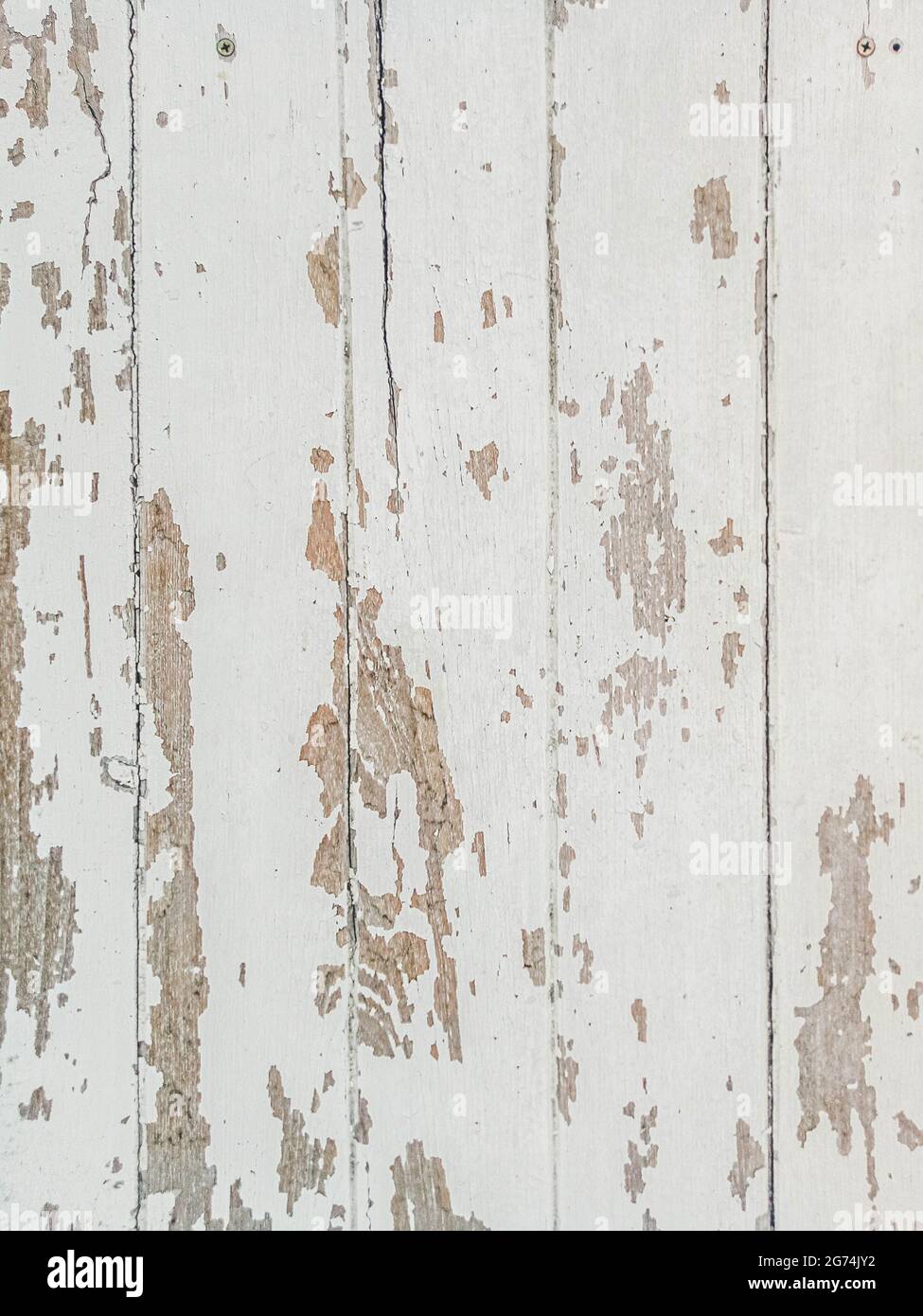 White Barn Wood Texture