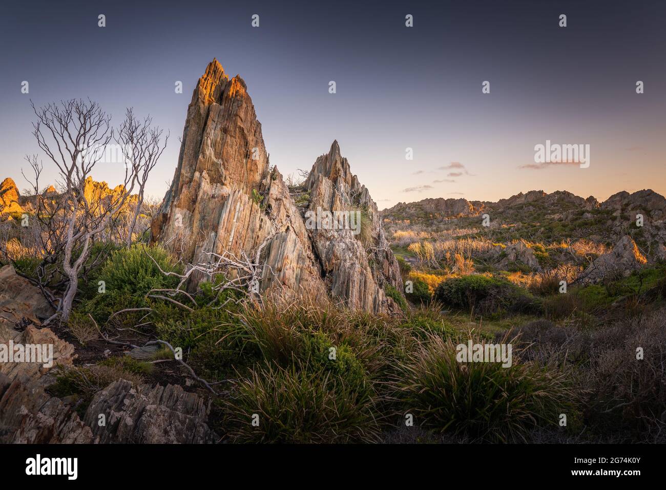 Sharp rock formations by the Tarkine Coast, Sarah Anne Rocks, Tasmania ...