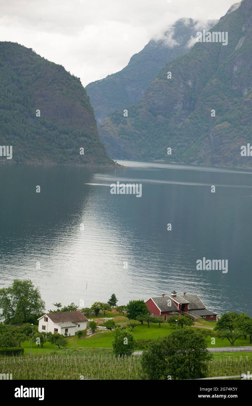 panoramic views of the Norwegian fjords Stock Photo - Alamy