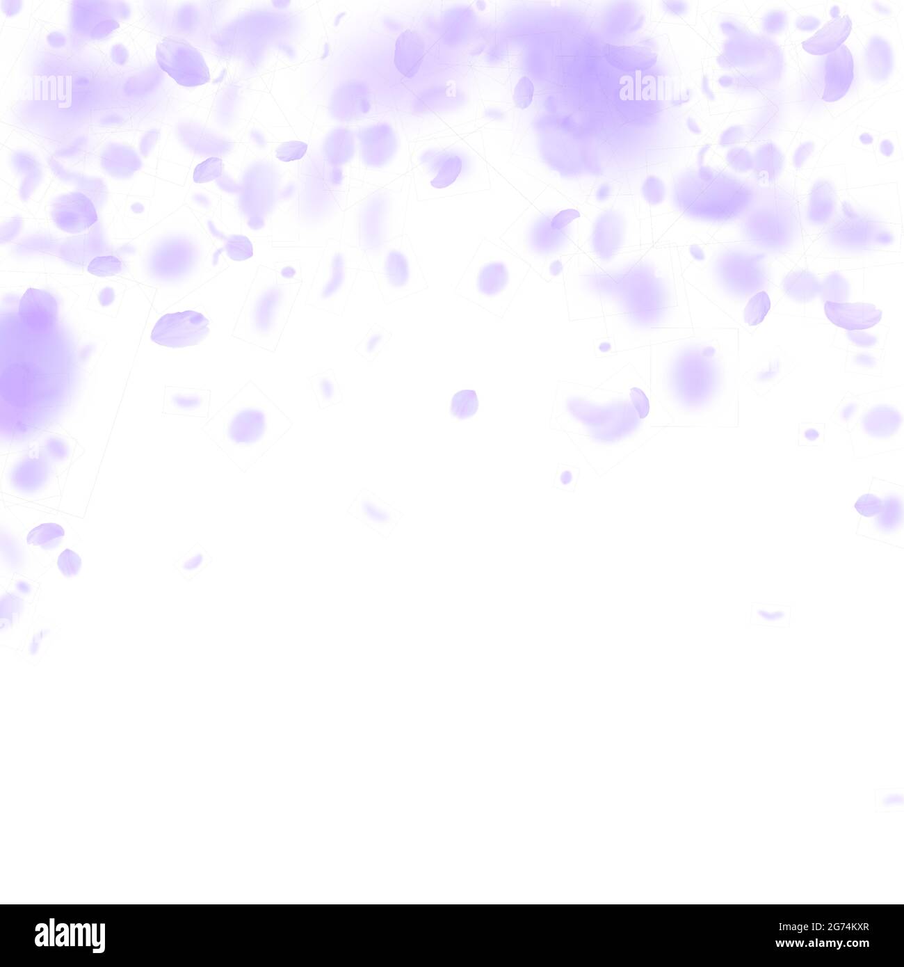 Violet flower petals falling down. Cool romantic flowers falling rain ...