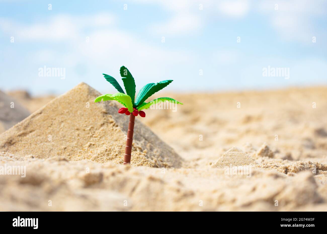 Miniature palm hi-res stock photography and images - Alamy