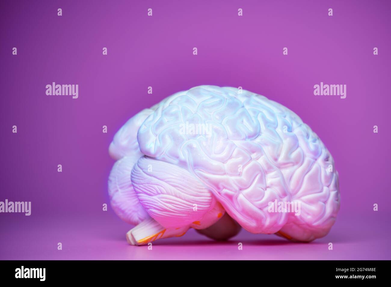 Illustration human brain back hi-res stock photography and images - Alamy