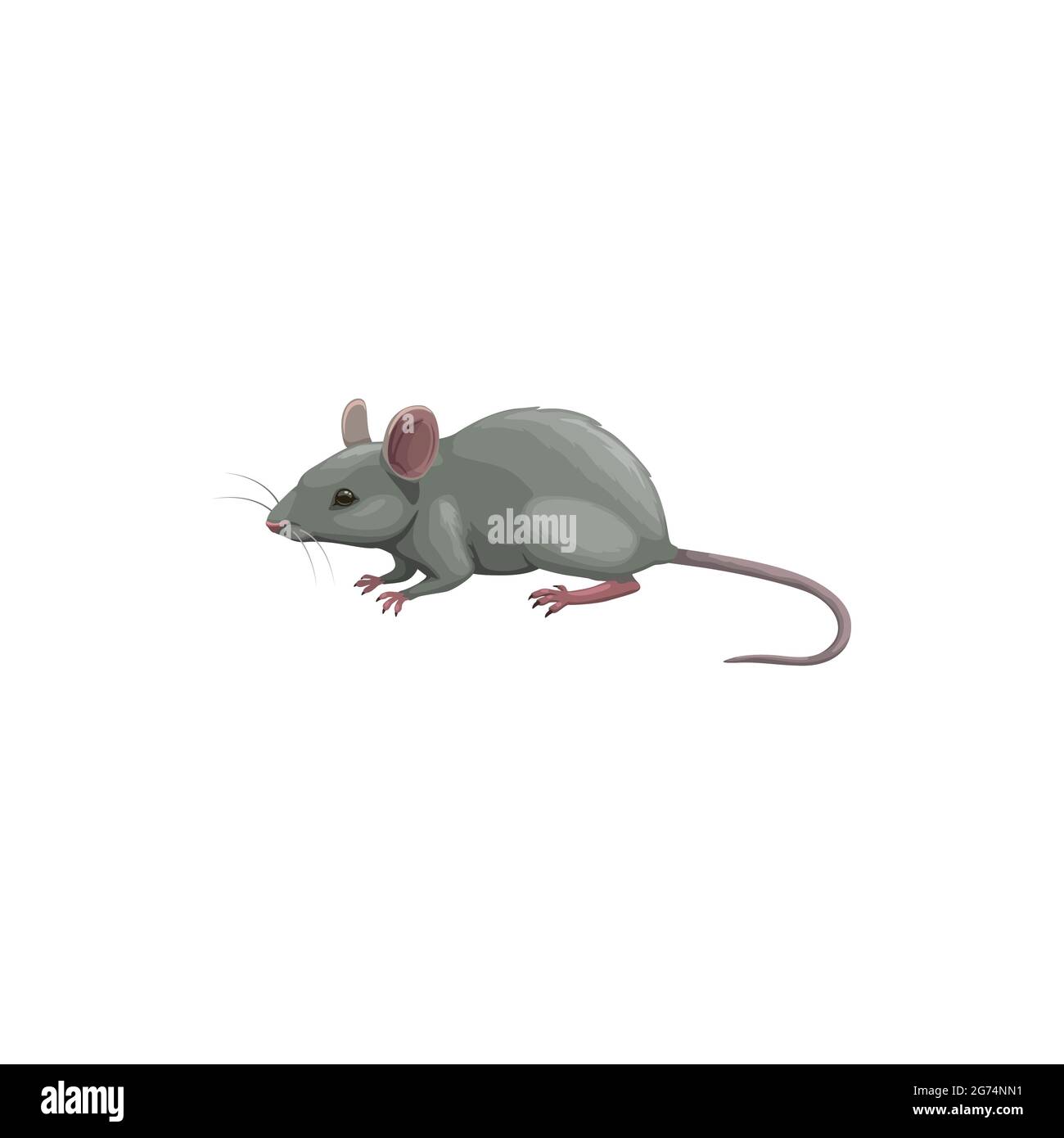 Disinfection mouse Cut Out Stock Images & Pictures - Alamy