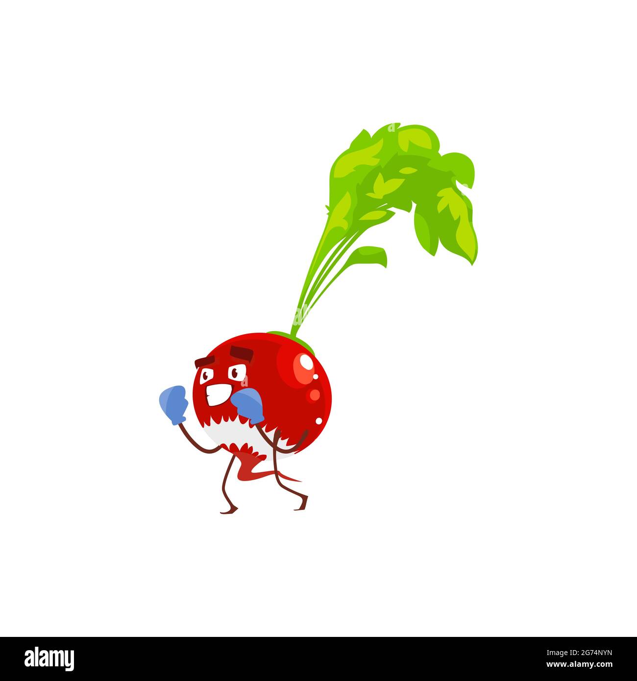 Cartoon radish vegetable sportsman plant in boxing gloves. Vector funny ...