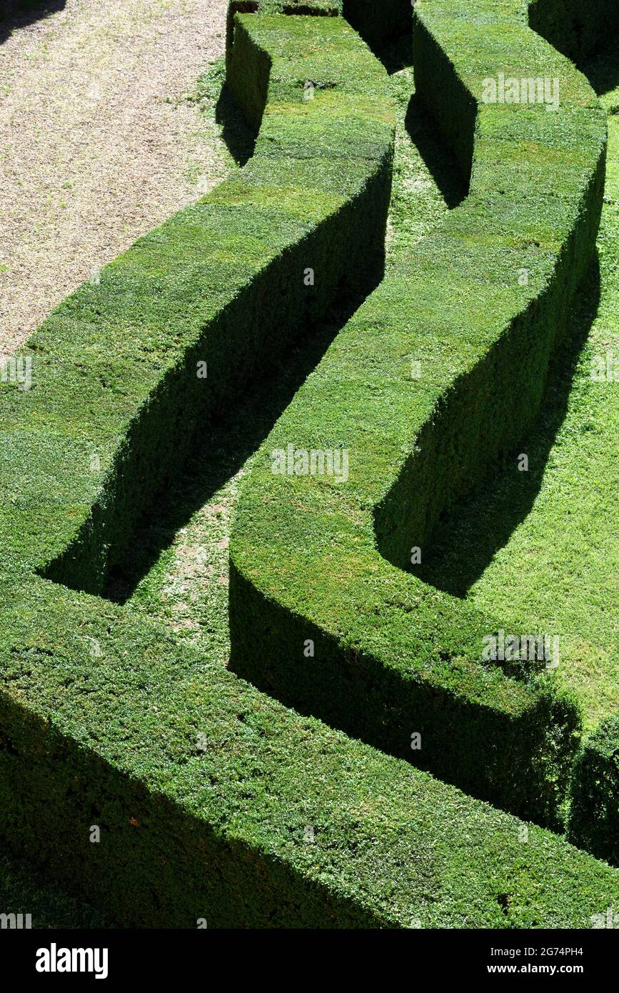 Geometric Patterns of Topiary Hedges or Clipped Hedges in the Formel Le ...