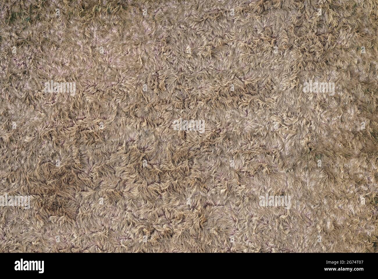 Aerial field pattern hi-res stock photography and images - Alamy