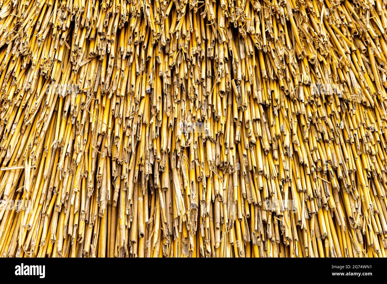 Rice plant roof hi-res stock photography and images - Alamy