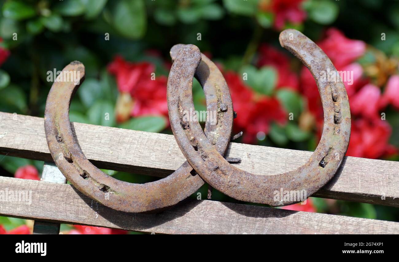 Two horseshoes hi-res stock photography and images - Alamy