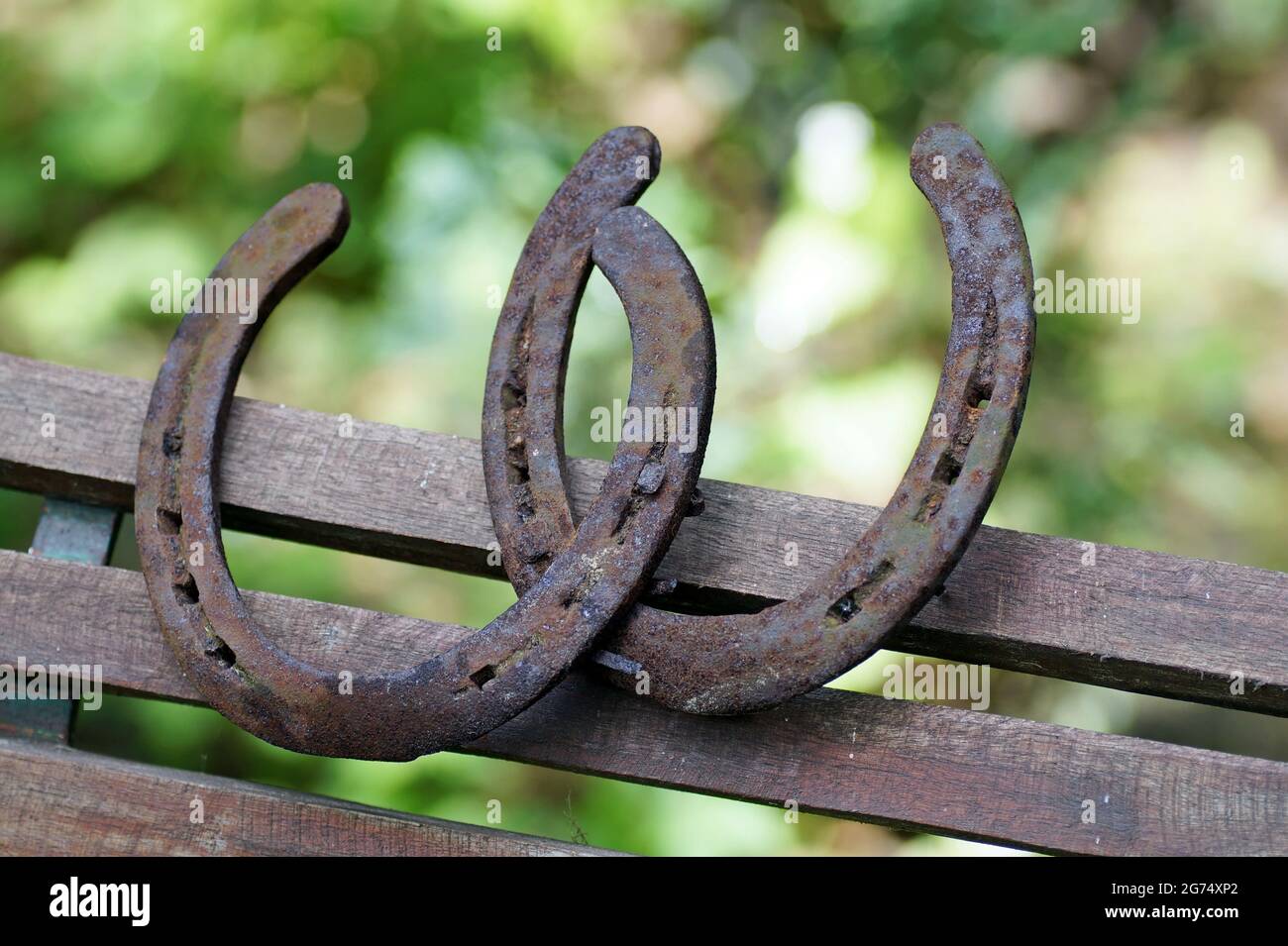 Two horseshoes hi-res stock photography and images - Alamy