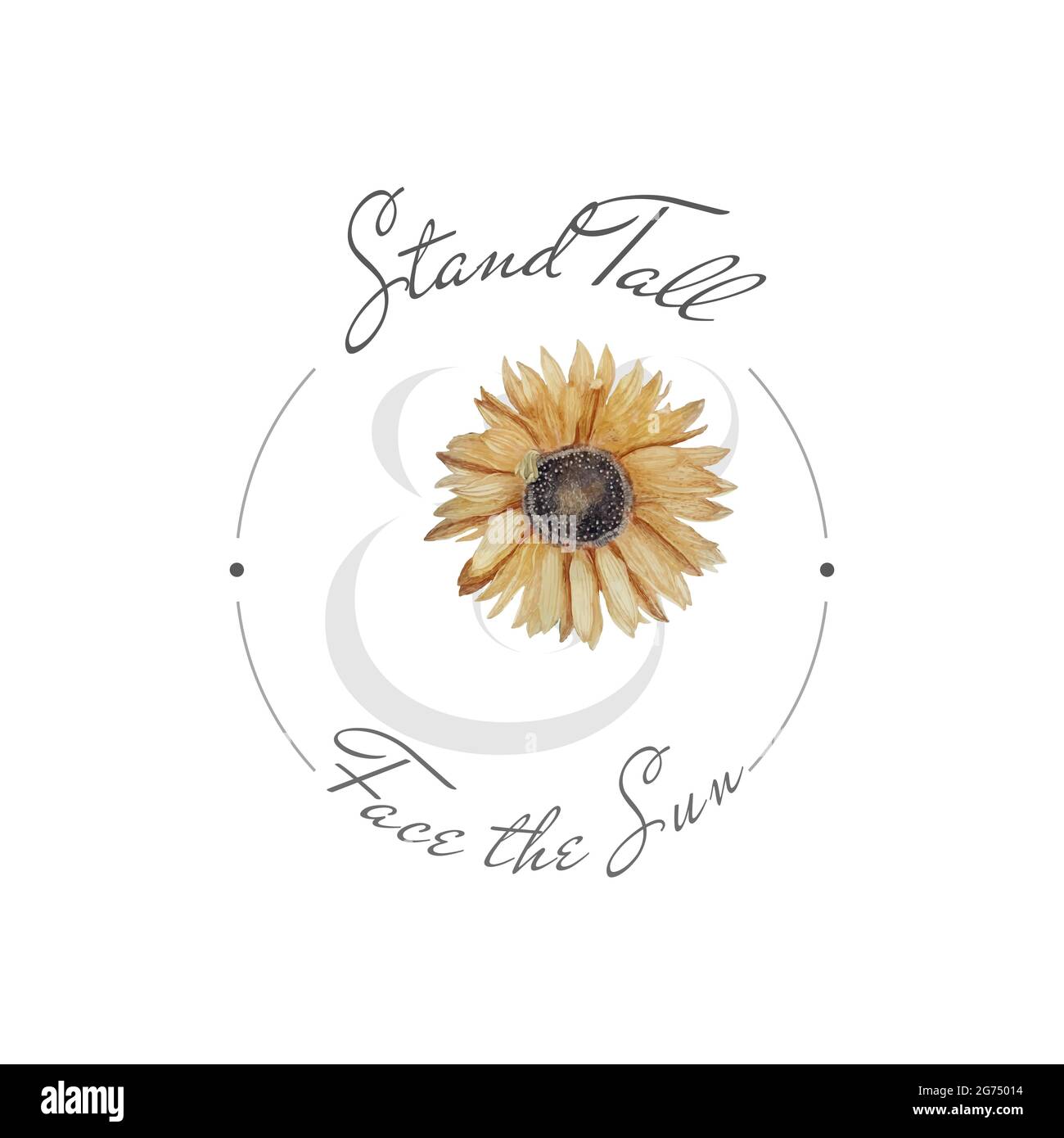 Face Of A Sunflower Stock Vector Images - Alamy