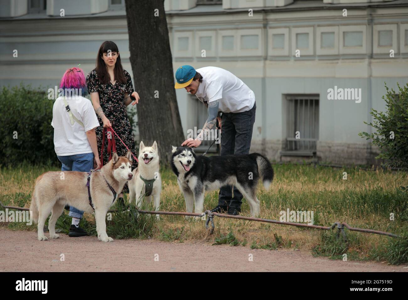 Three husky owners walks their dogs in St. Petersburg, Russia. Huskies ...