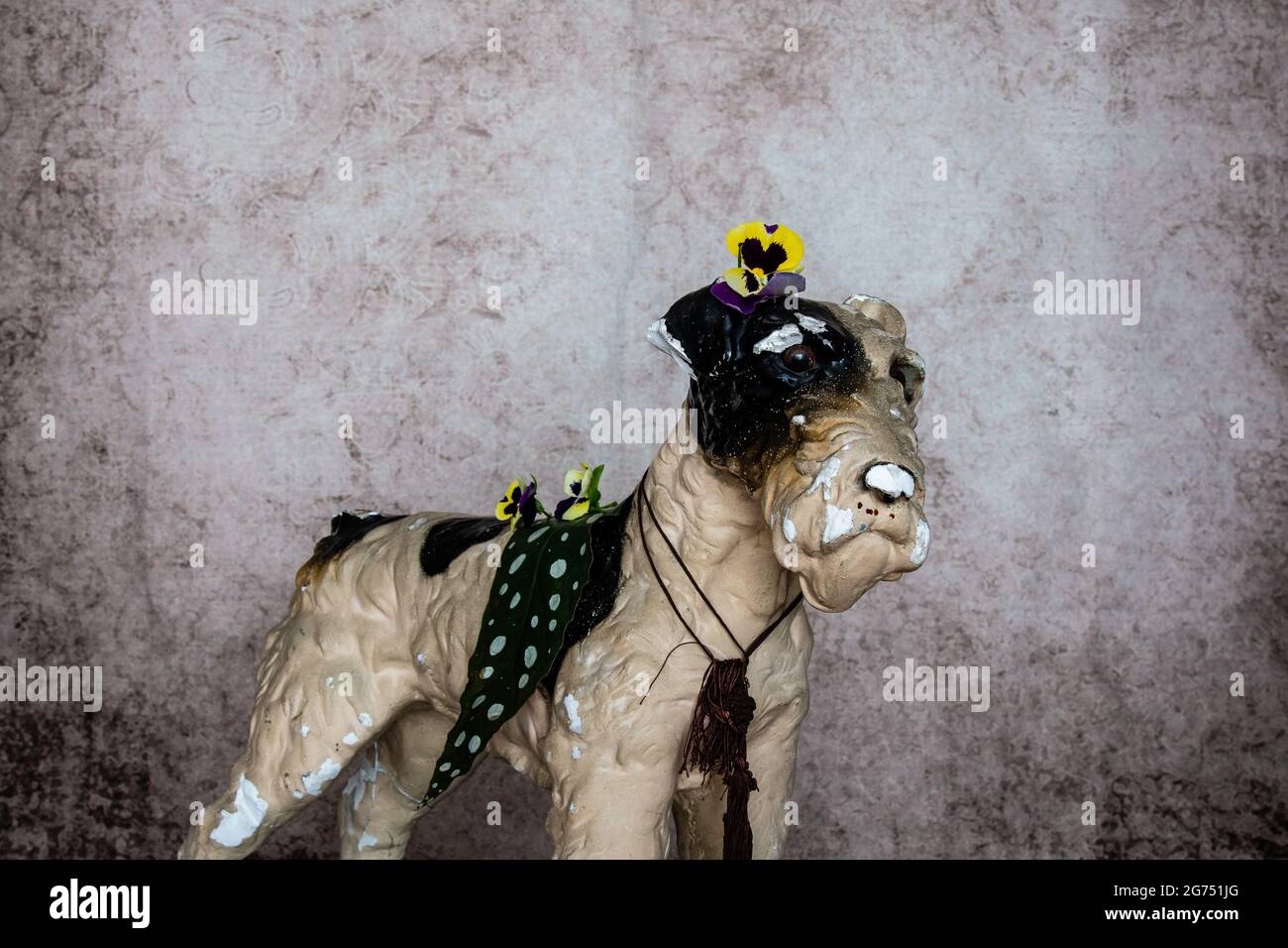 Dog still life hi-res stock photography and images - Alamy