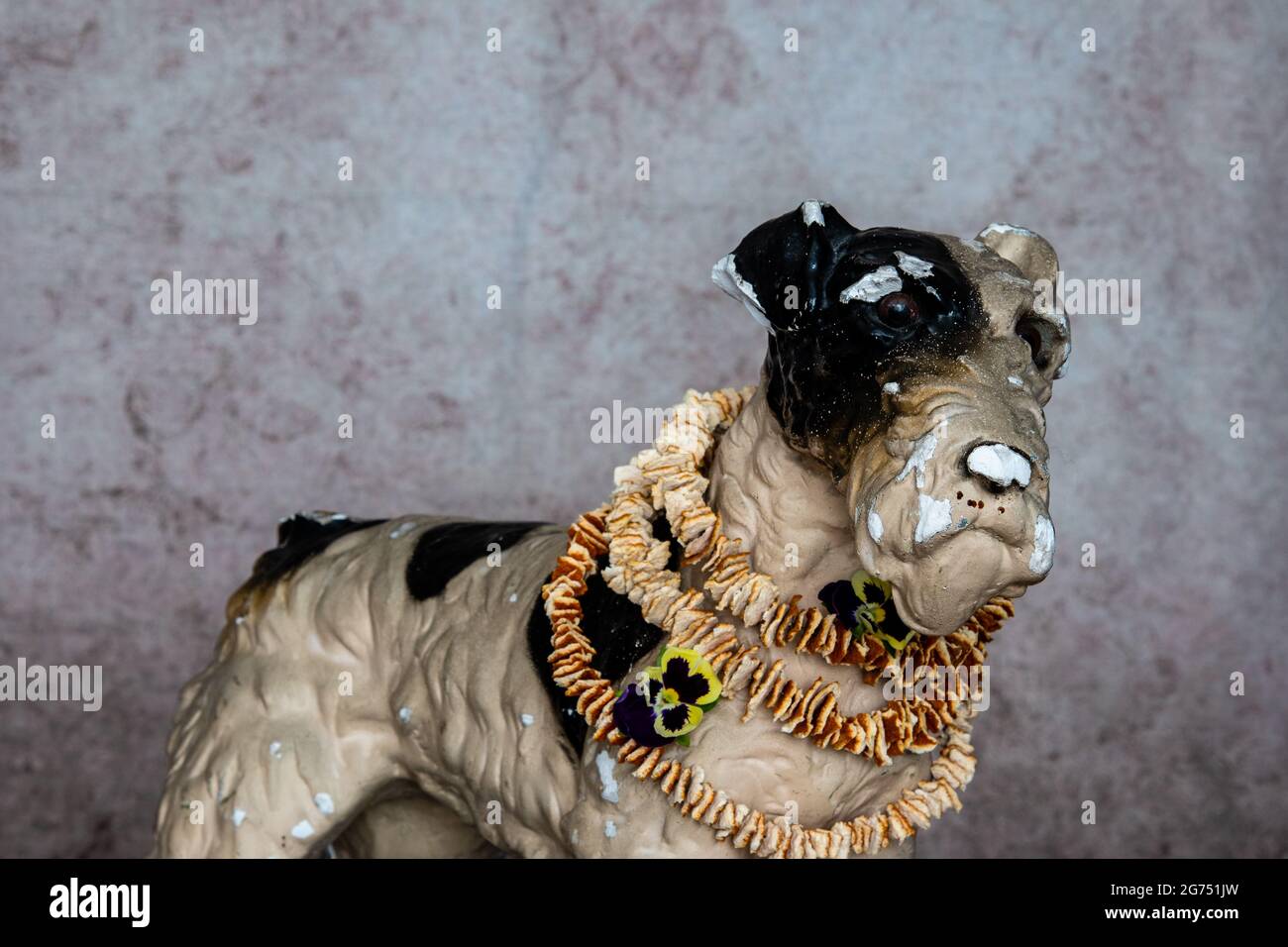 Dog still life hi-res stock photography and images - Alamy