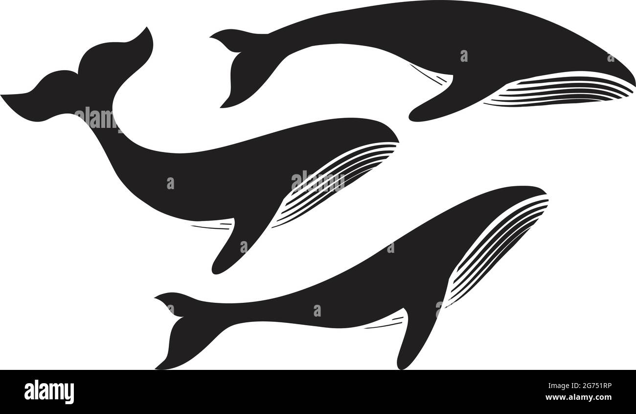 abstract humpback whale Stock Vector Image & Art - Alamy