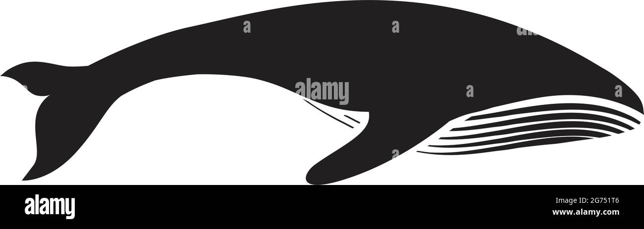 abstract humpback whale Stock Vector Image & Art - Alamy