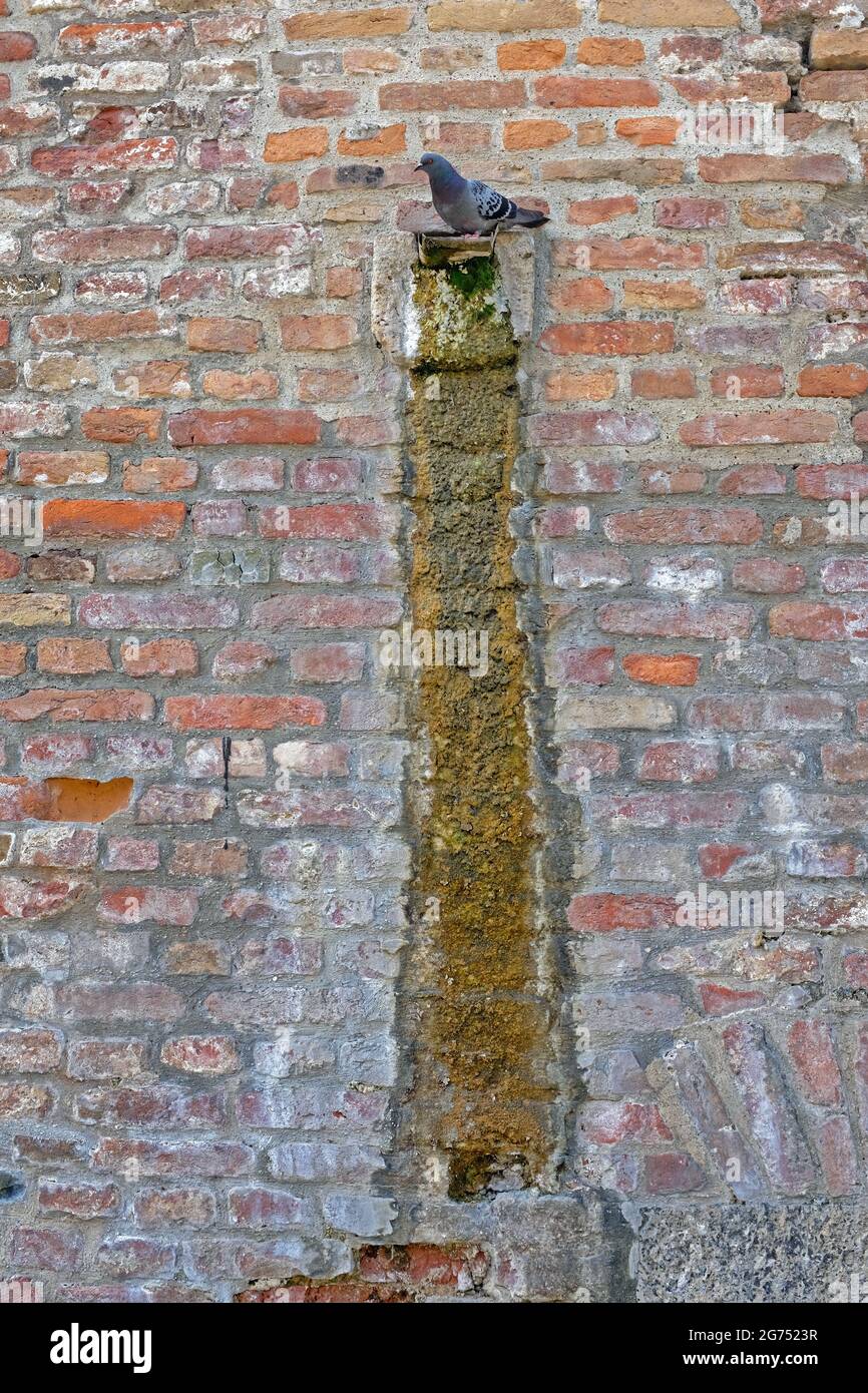 Old brick wall water damage hi-res stock photography and images - Alamy