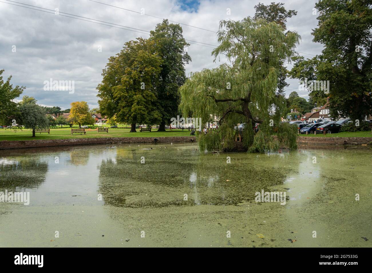 Godstone pond surrey hi-res stock photography and images - Alamy