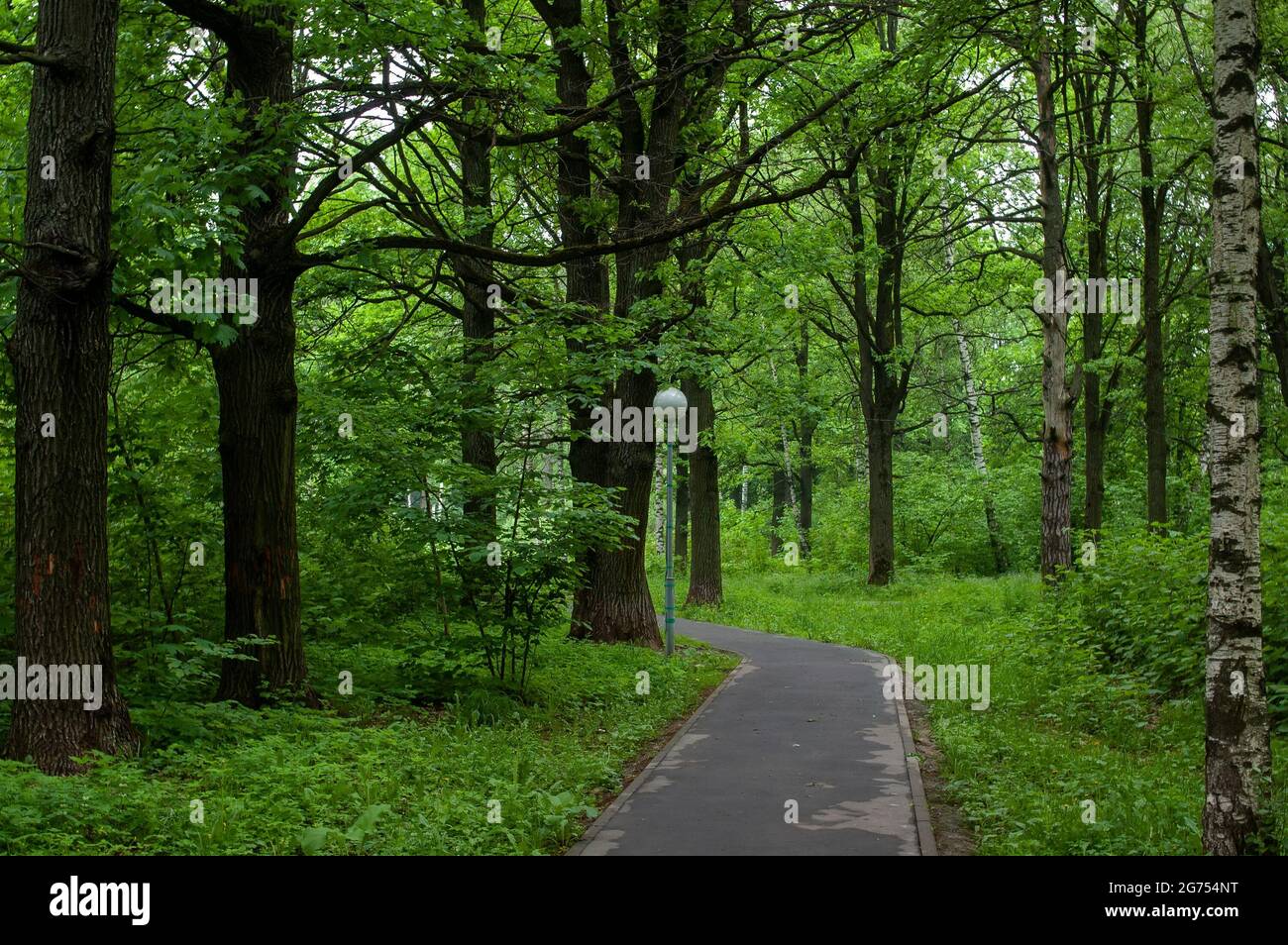 Beautiful sunny park path among hi-res stock photography and images - Alamy