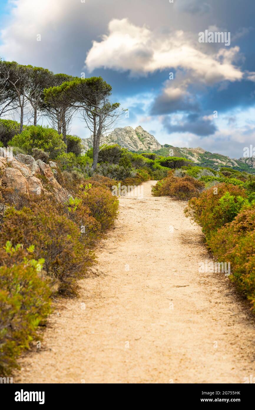 Stunning view of a trail leading to Cala Caprese, a beautiful beach of ...