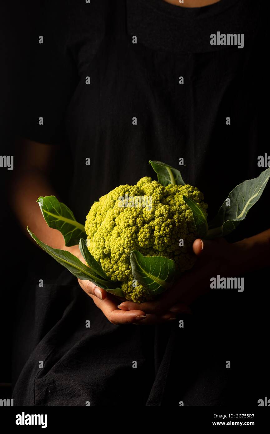 Head of green color cauliflower in women hand on dark background and ...