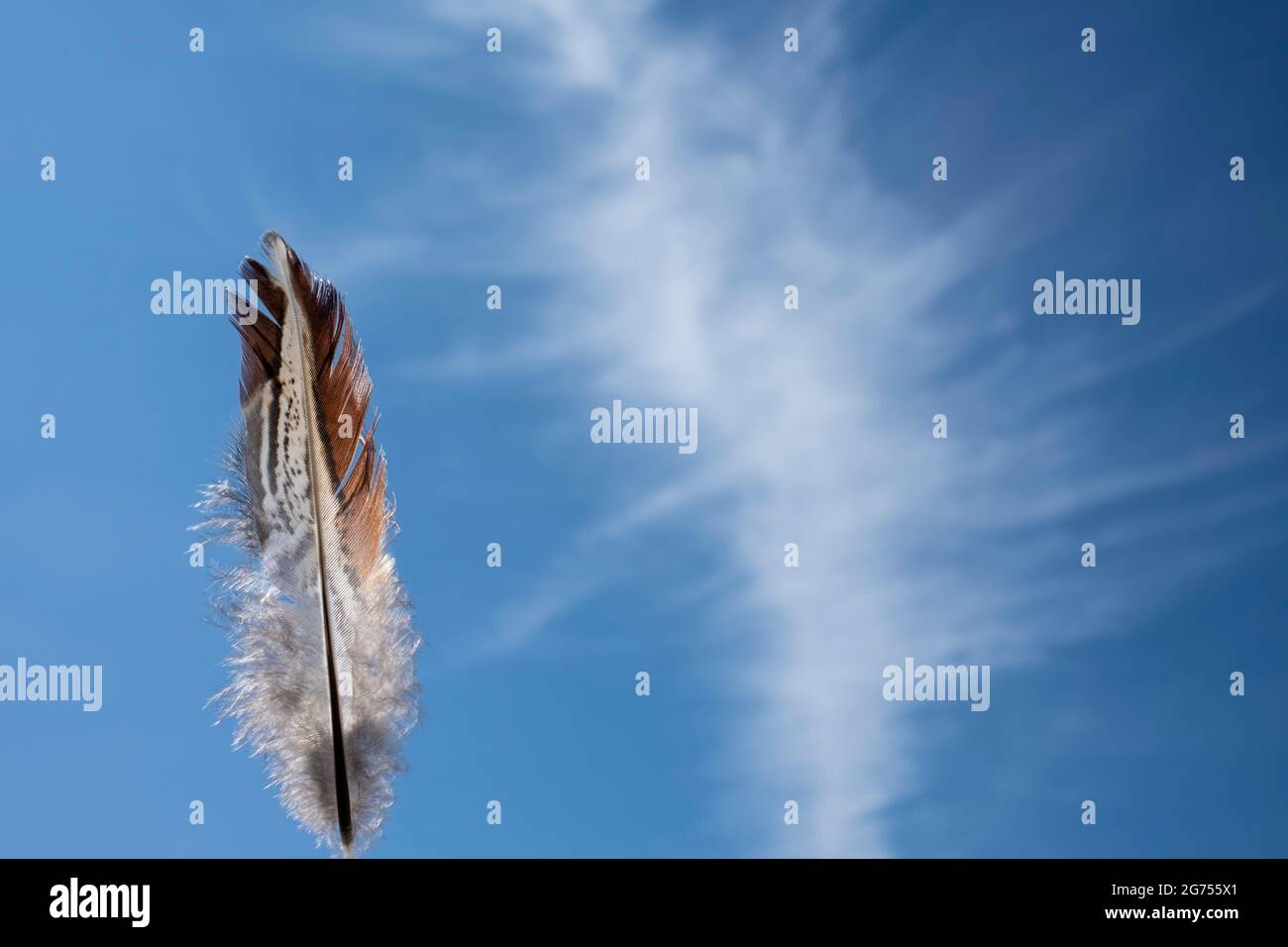 Streaks Of Cloud Across The Sky High Resolution Stock Photography and ...