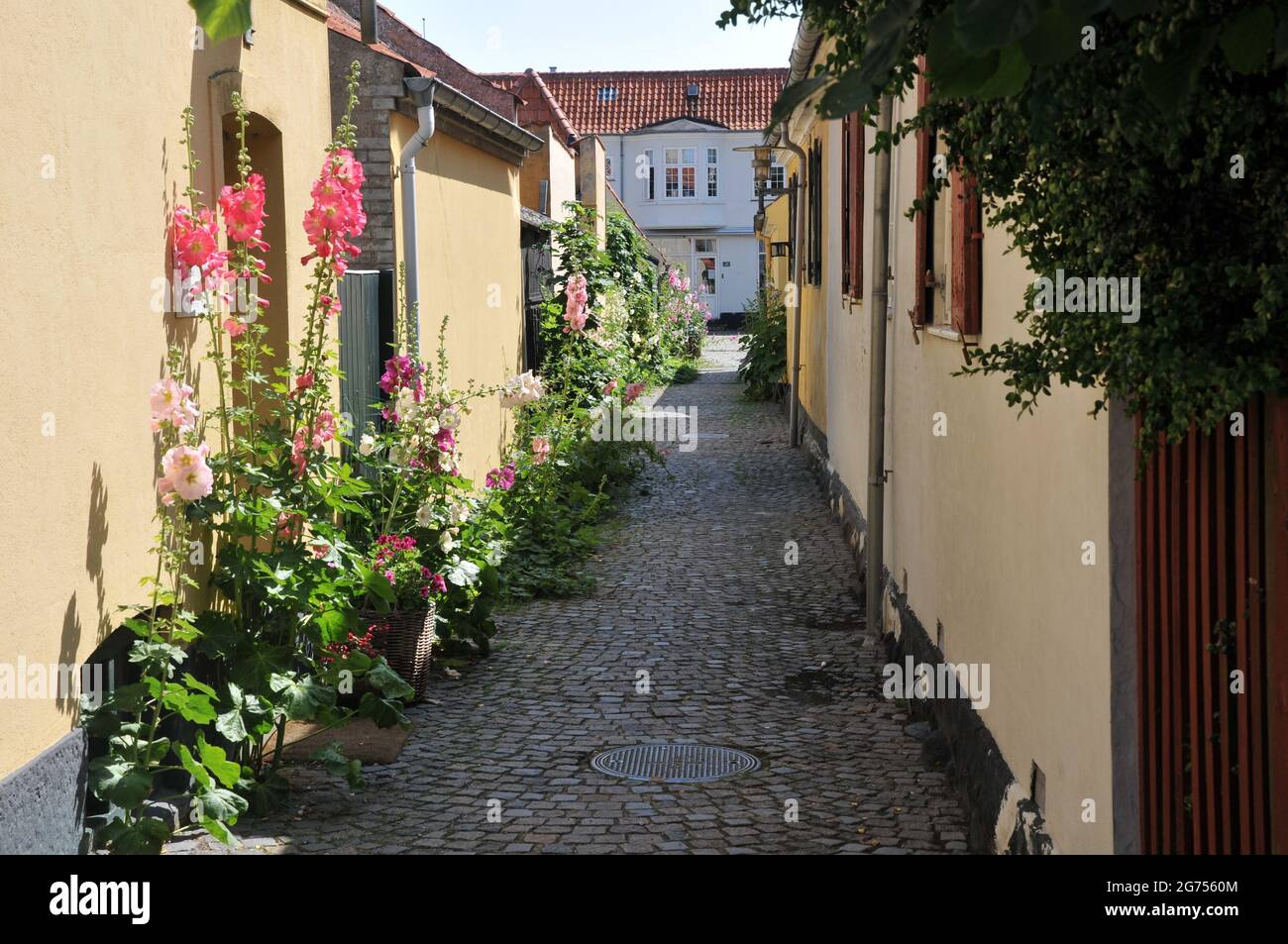 dragor/ Denmark. 11 July 2021,/Dragor fishing habour towb is famous for ...