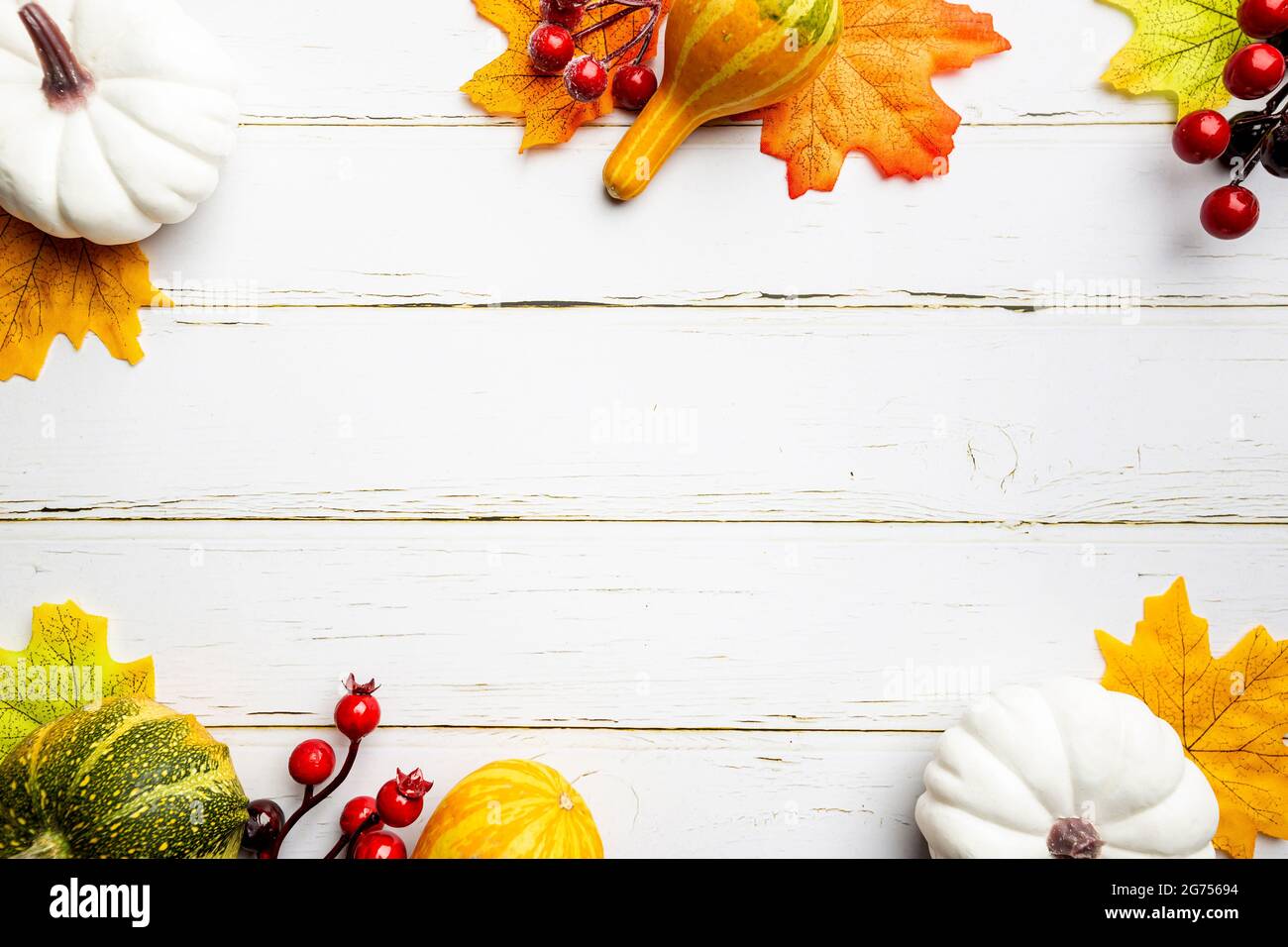 Autumn side border of white pumpkins and autumn leaves over a rustic ...