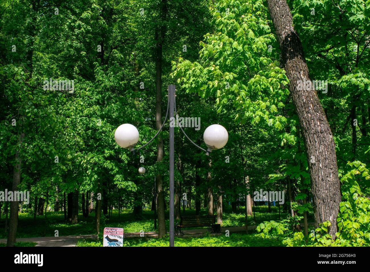 round street lights in the park, summer Stock Photo - Alamy