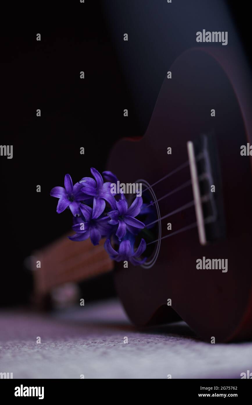 Strings of flowers hi-res stock photography and images - Alamy